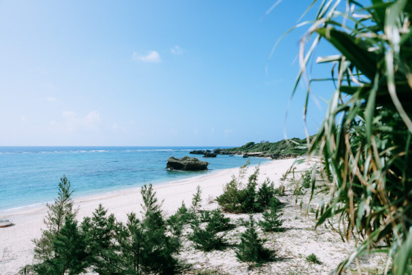 Tips for Tokunoshima Island of the Amami Islands, Kagoshima, Japan