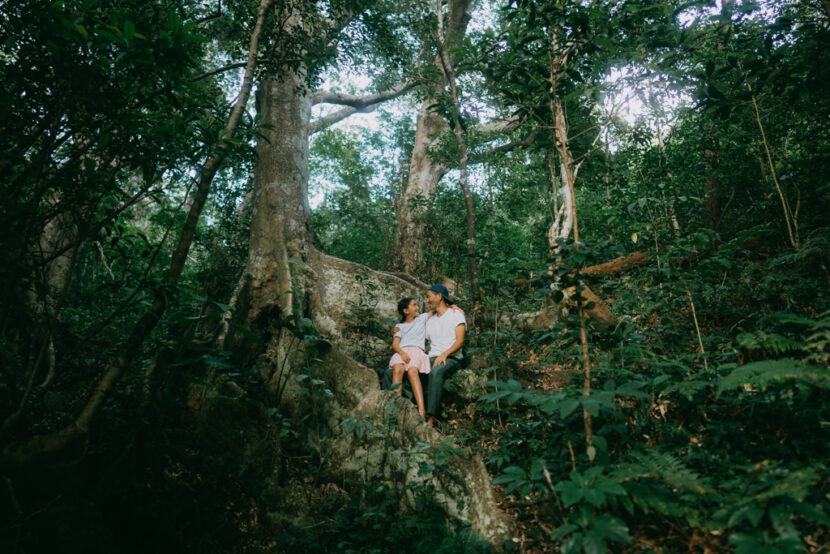 Tips for Tokunoshima Island of the Amami Islands, Kagoshima, Japan