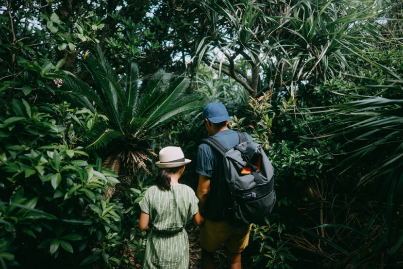 Tips for Tokunoshima Island of the Amami Islands, Kagoshima, Japan